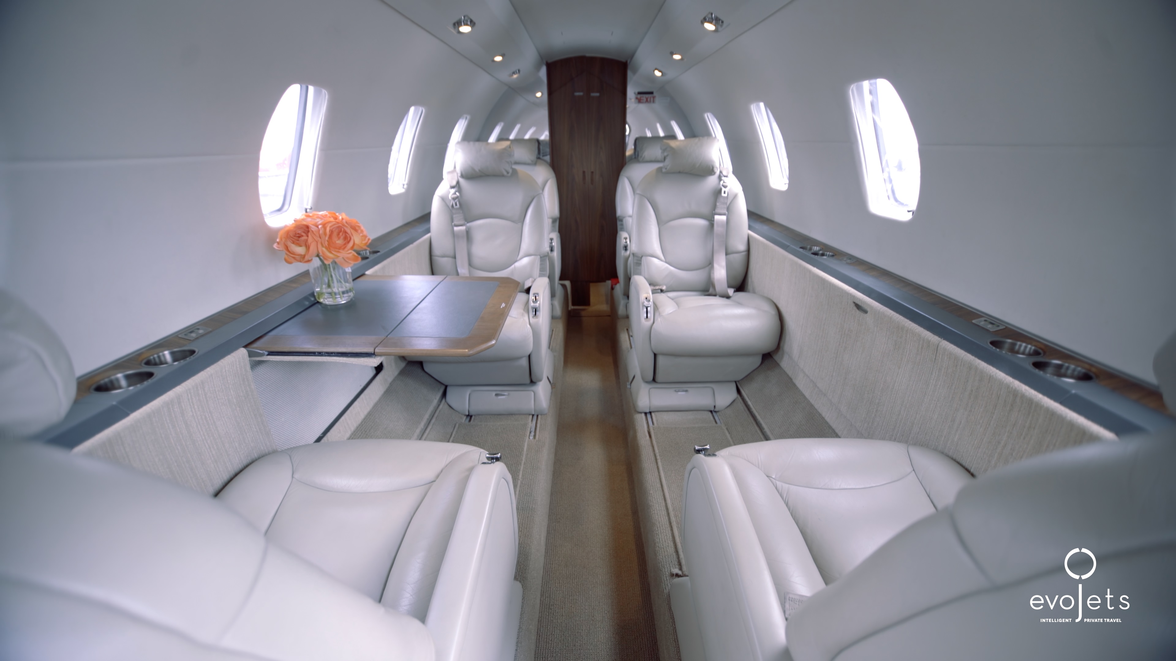Cessna Citation Model 560xl Excel Cutaway