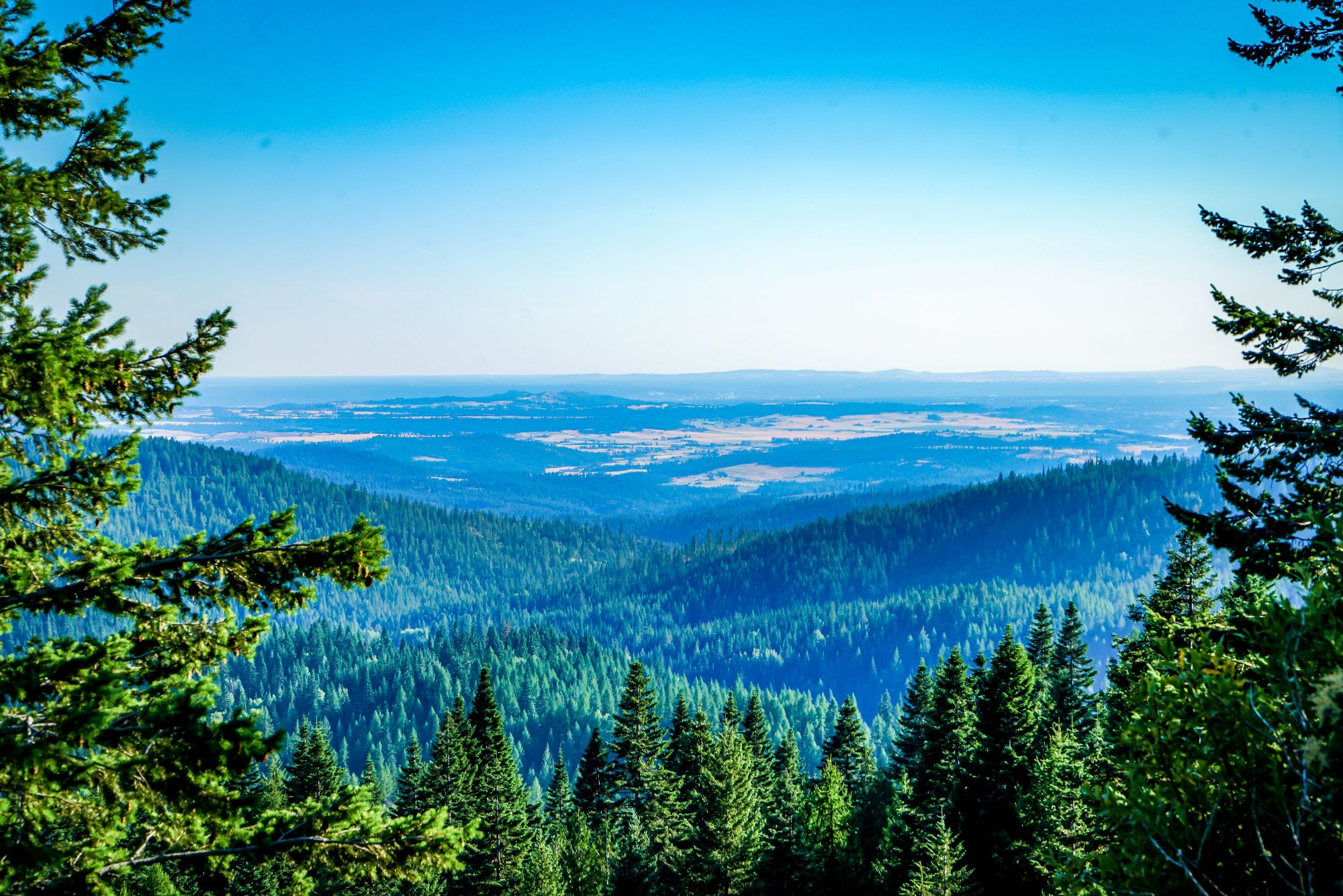 Spokane Private Jet Charter | evoJets Spokane Private Jet Charter | evoJets